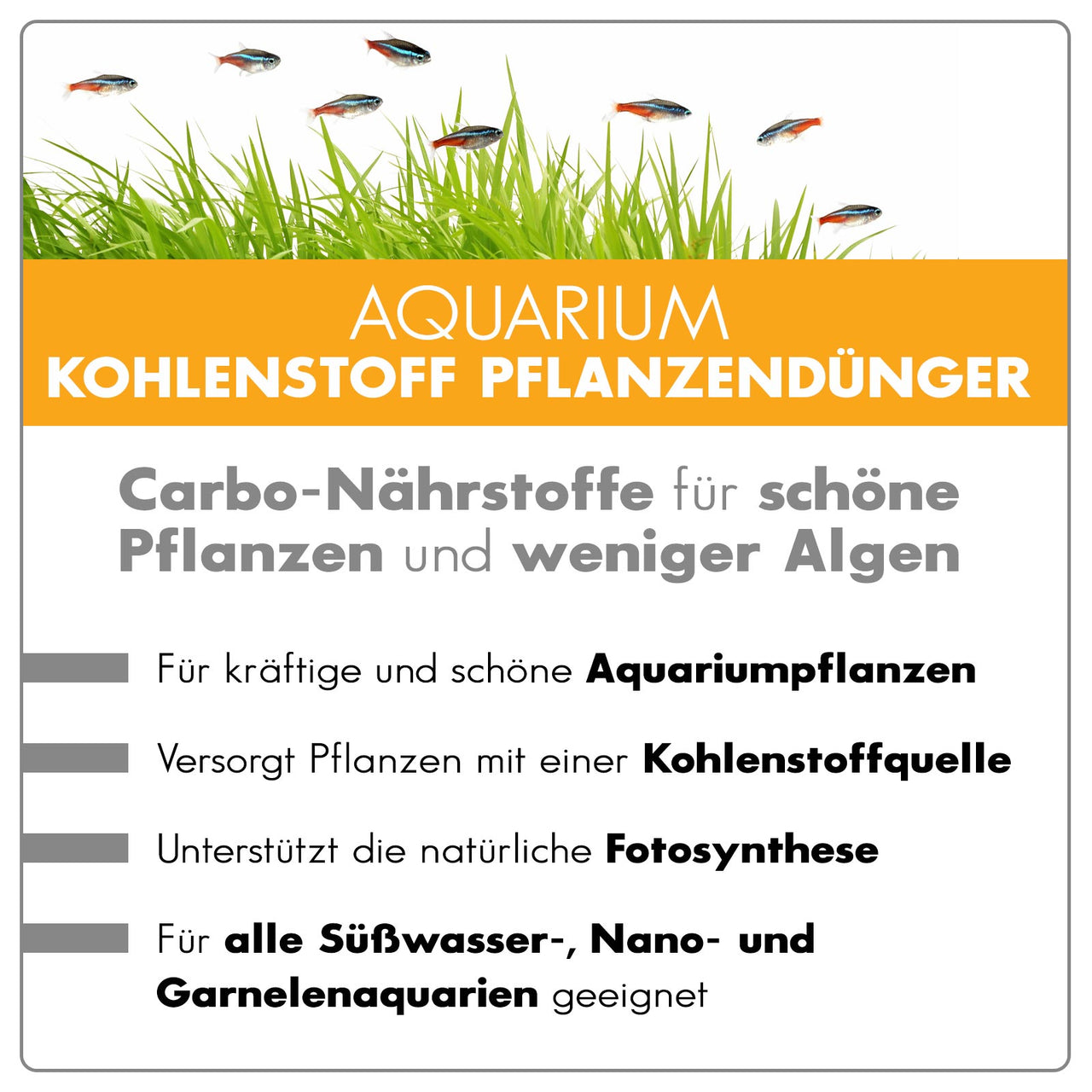 Aquarium CO? Dünger - sattgrüne, vitale Pflanzen mit Kohlenstoff ...